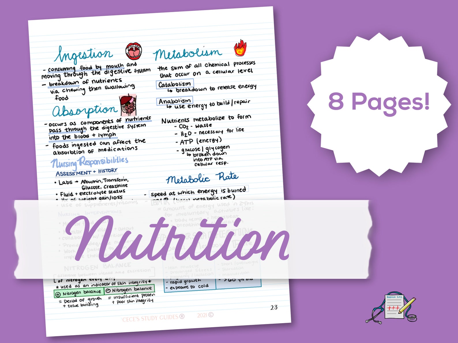 Nutrition Study Guide | Etsy
