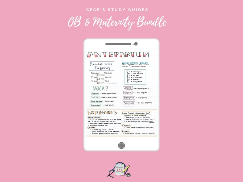 OB & Maternity Bundle ~ Nursing School ~ NCLEX Notes ~ Cece’s Study ...