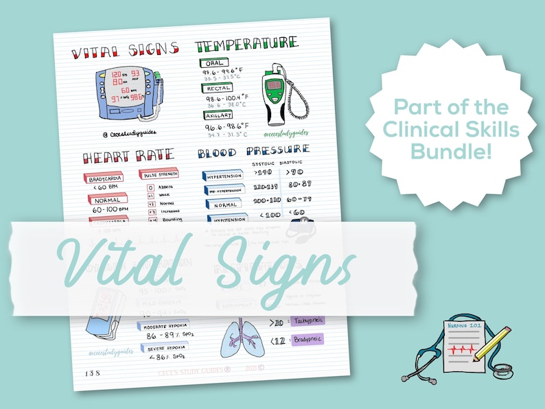 Vital Signs - Nursing Notes and Study Guides by Cece - Etsy