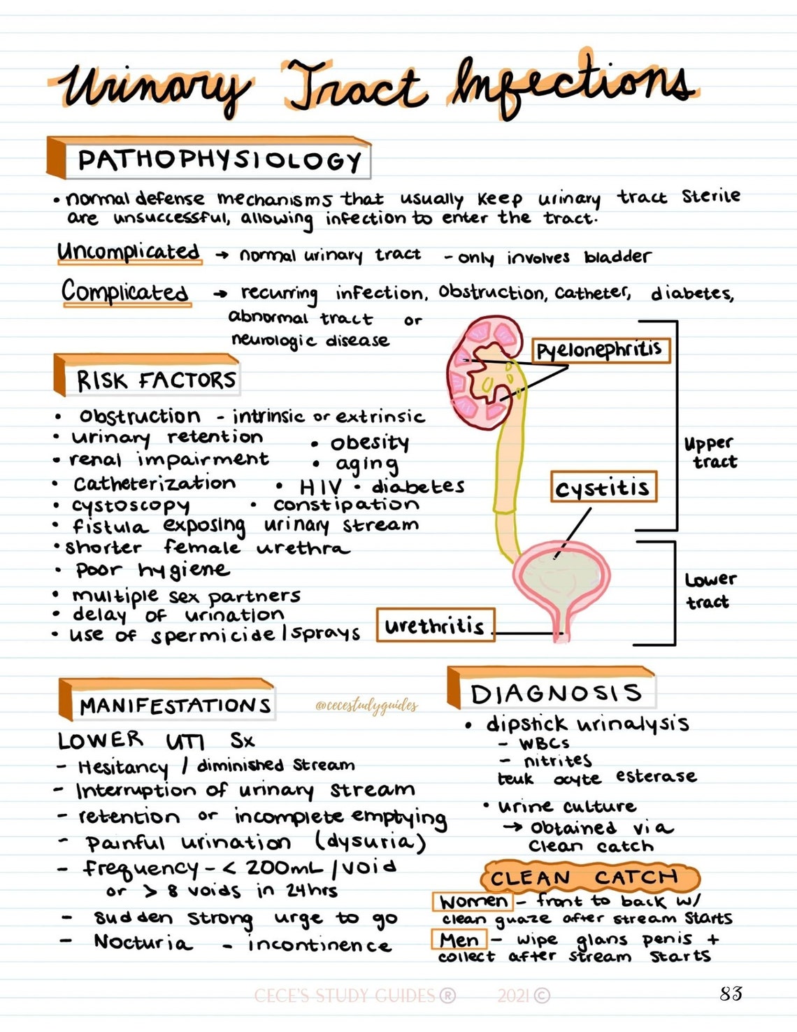 Urinary Tract Infections Nursing Study Guide Med-surg Cheat - Etsy