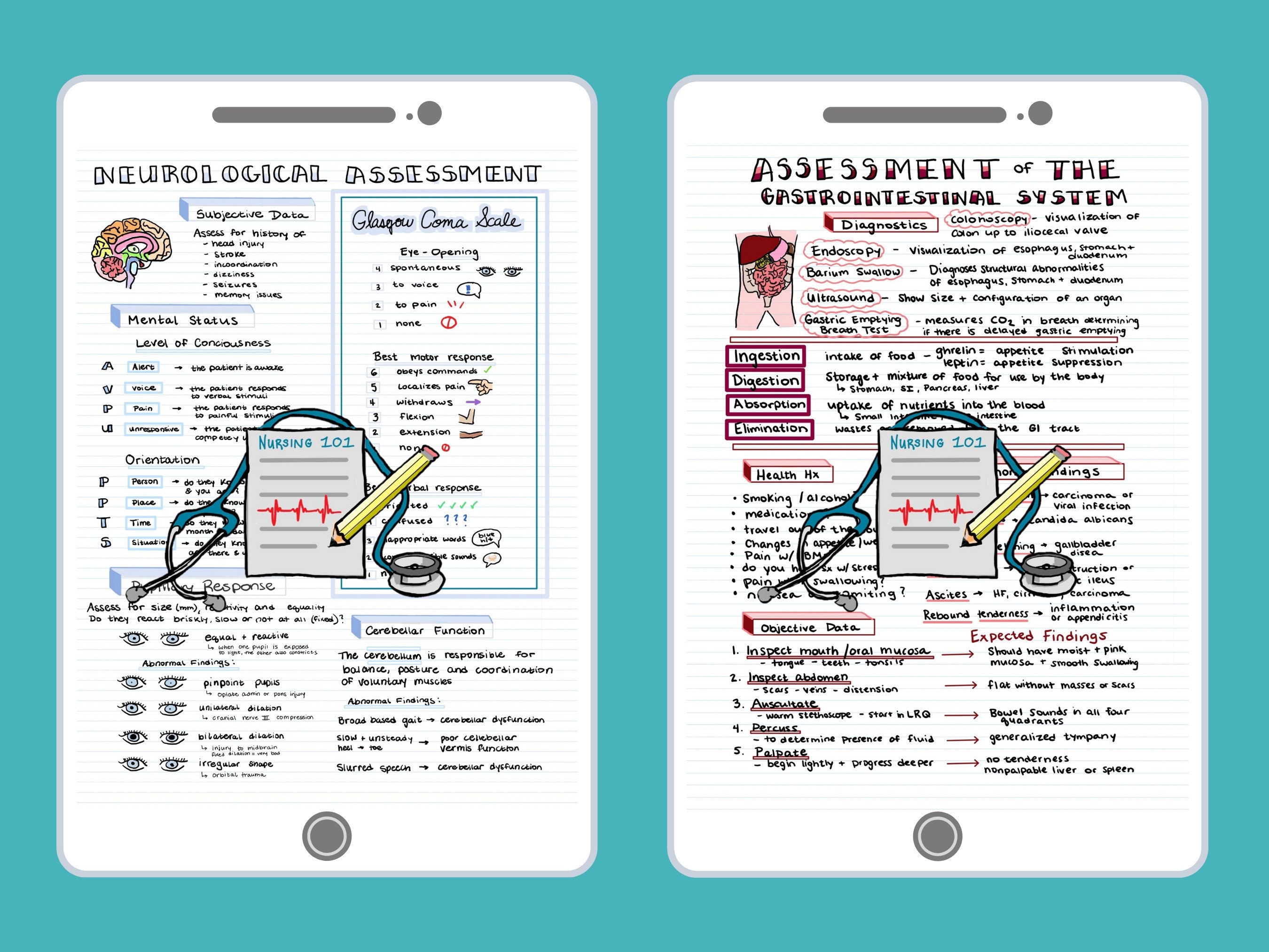 Health Assessment Bundle Nursing School Notes To Help Pass NCLEX RN 