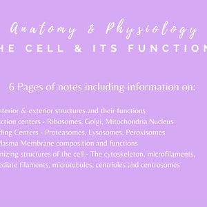 The Cell and Its Functions - Anatomy & Physiology Study Guide - Etsy