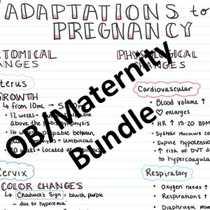 OB & Maternity Bundle ~ Nursing School ~ NCLEX Notes ~ Cece’s Study ...