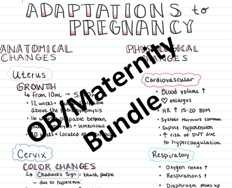 OB & Maternity Bundle ~ Nursing School ~ NCLEX Notes ~ Cece’s Study ...