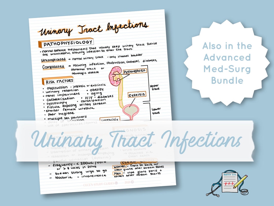 Urinary Tract Infections Nursing Study Guide, Med-surg Cheat Sheet ...