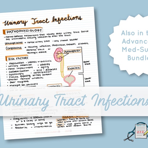 Urinary Tract Infections Nursing Study Guide Med-surg Cheat - Etsy