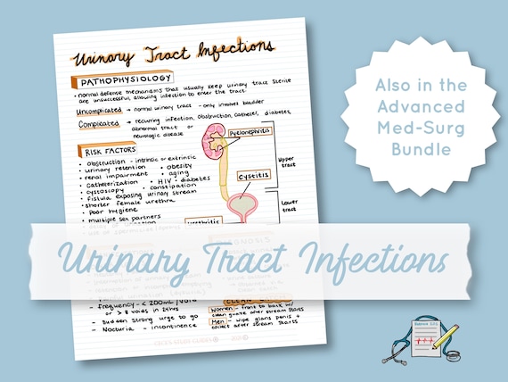 Urinary Tract Infections Nursing Study Guide Med-surg Cheat - Etsy