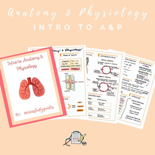 UPDATE Intro to Anatomy Introduction to Anatomy Anatomy - Etsy