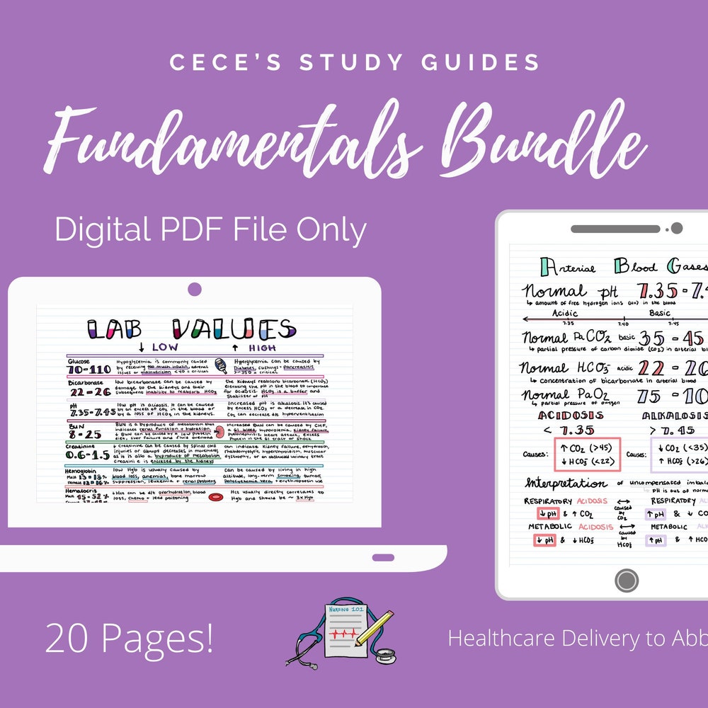 CeceStudyGuides - Etsy Canada