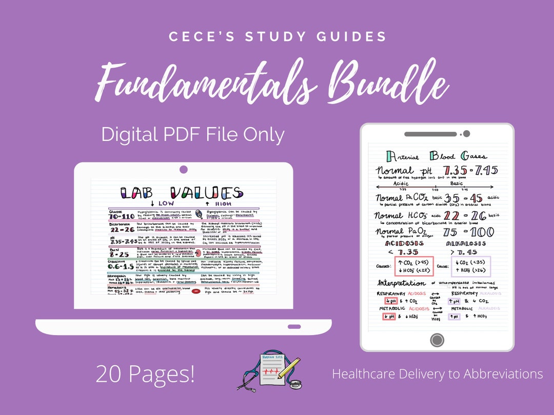 Fundamentals of Nursing Bundle ™ - Nursing School Notes - 21 Pages to ...