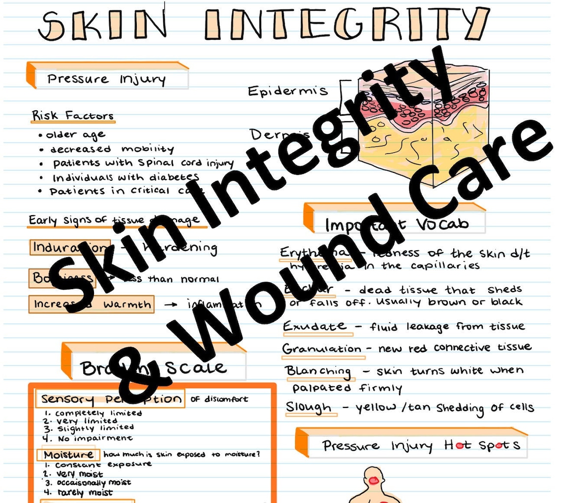 Skin Integrity & Wound Care - Etsy