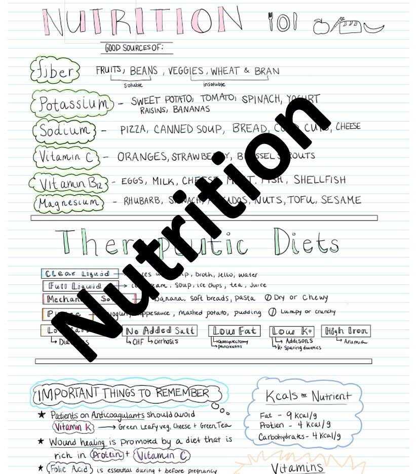 Nutrition Study Guide | Etsy