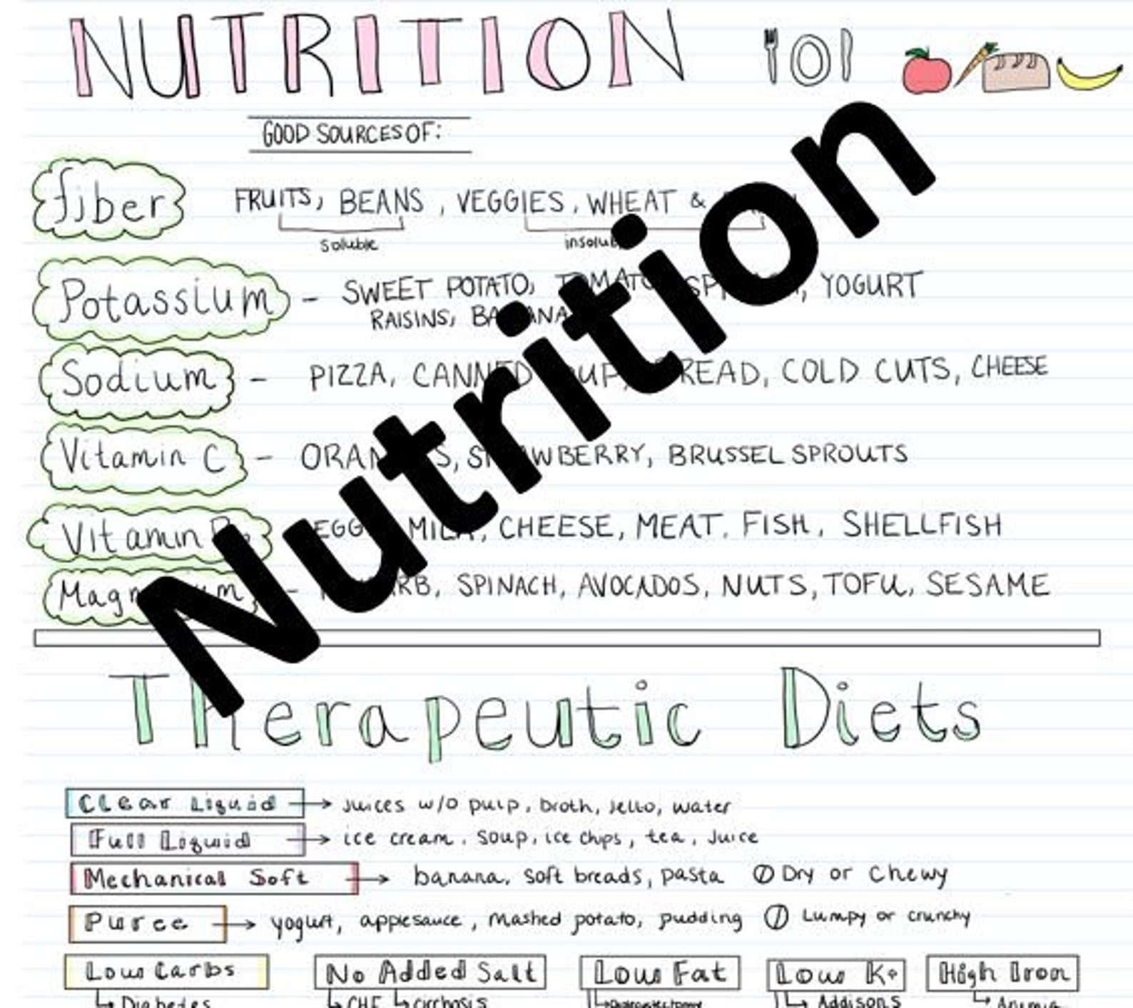 Nutrition Study Guide | Etsy