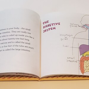 Vintage Book - What Happens to a Hamburger - Etsy
