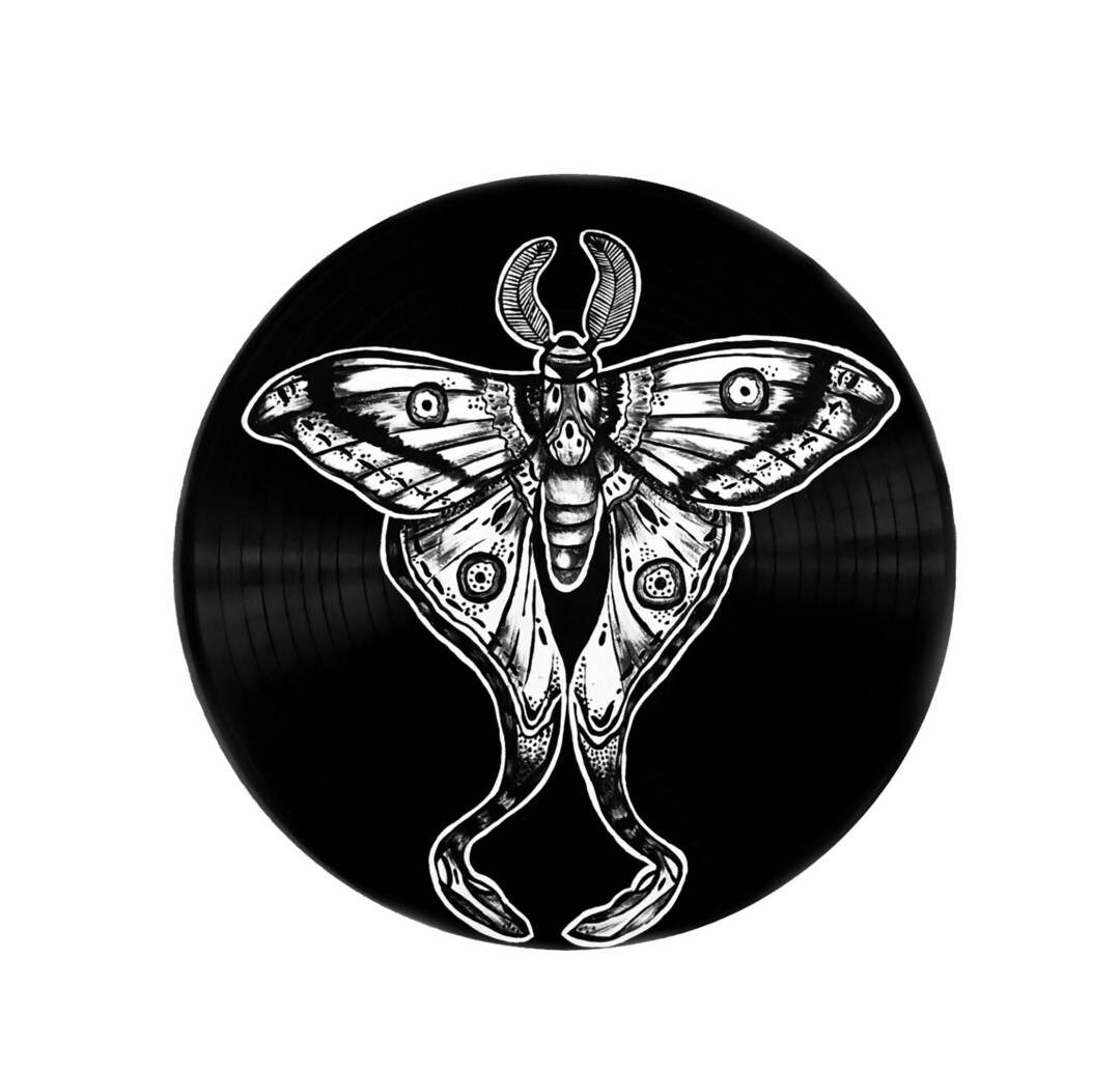 Painted Vinyl Record Luna Moth, Moth Lover Art and Decor, Dorm Decor ...