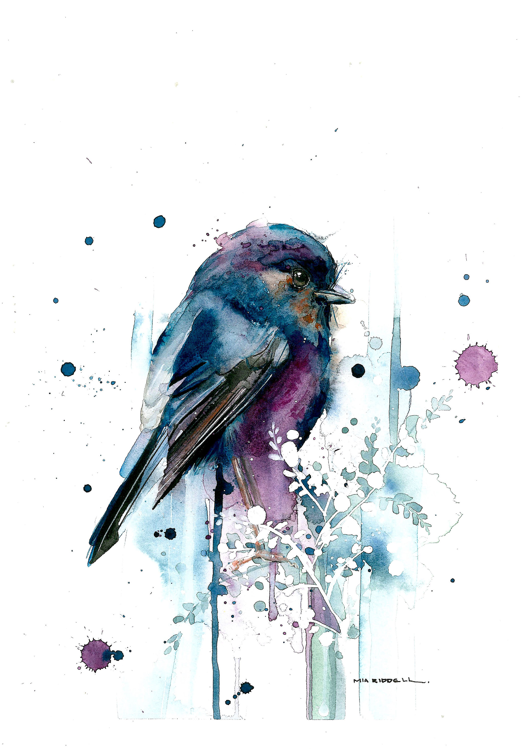 Black Robin - Etsy New Zealand