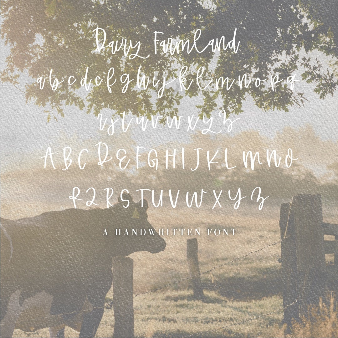 Dairy Farmland, A Font Family , Includes 3 OTF Fonts - Etsy