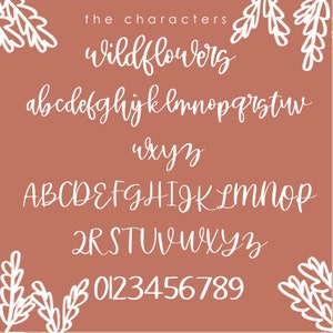Wildflowers Script, a Handwritten Script Font - Etsy