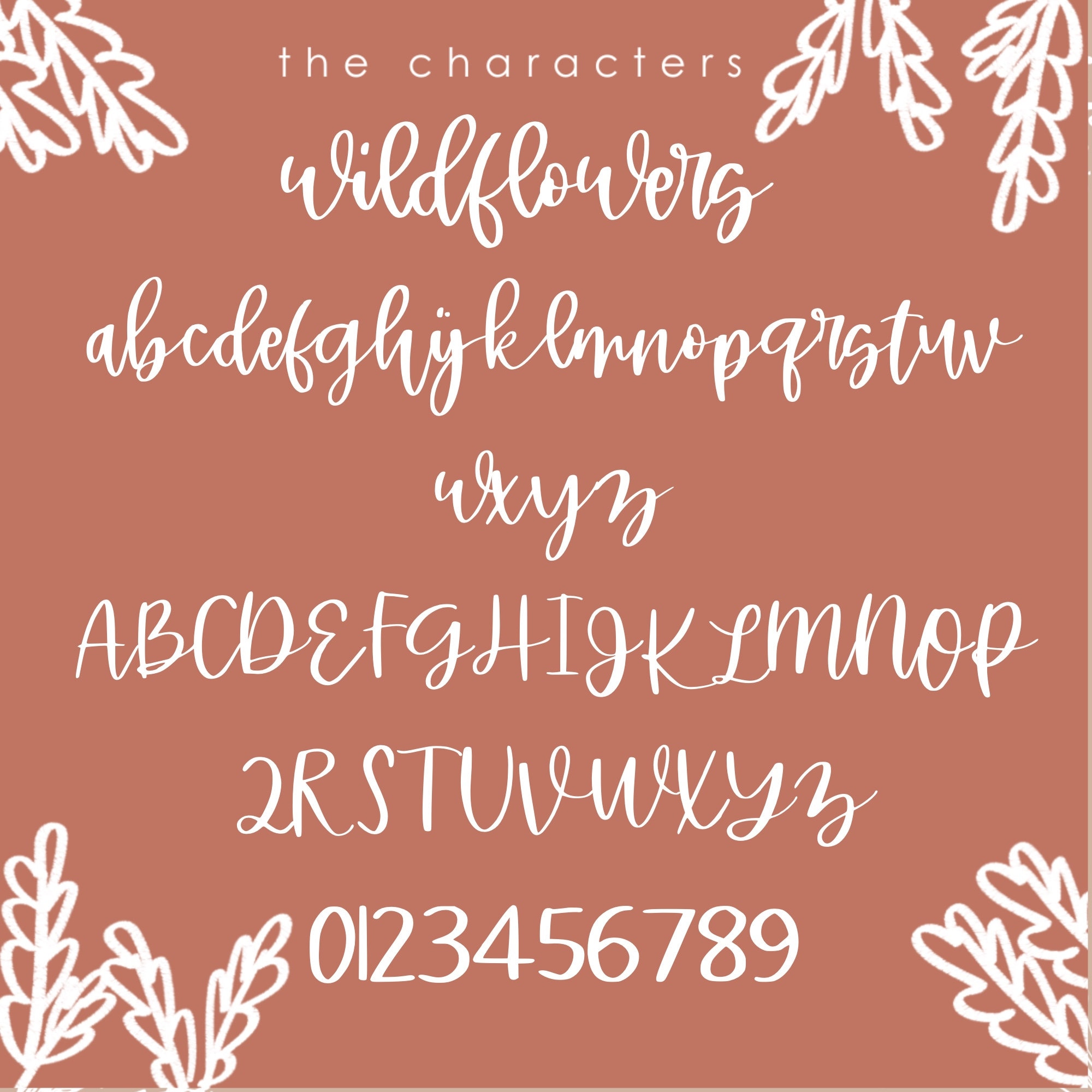 Wildflowers Script, a Handwritten Script Font - Etsy