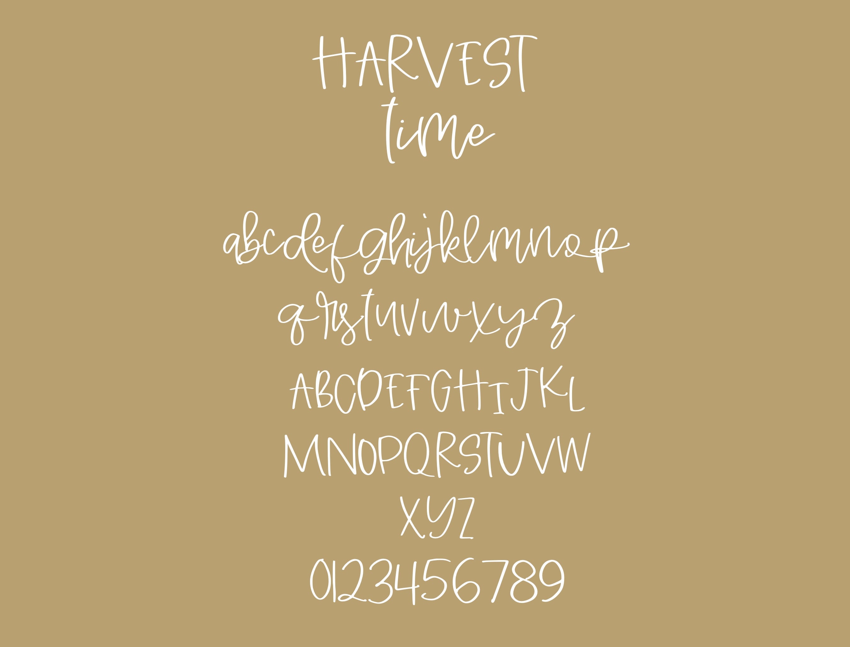 Harvest Time, a Handwritten Script Font - Etsy