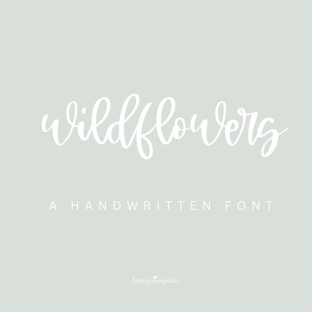 Wildflowers Script, a Handwritten Script Font - Etsy