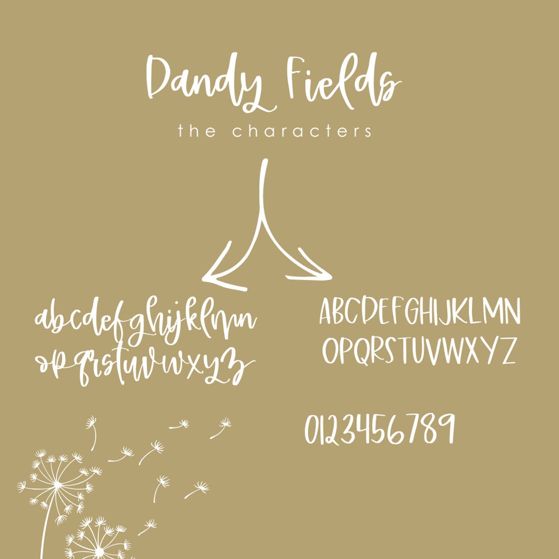 Dandy Fields, a Handwritten Modern Calligraphy Font - Etsy