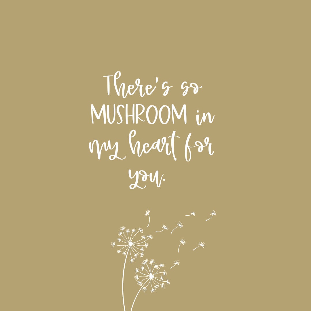 Dandy Fields, a Handwritten Modern Calligraphy Font - Etsy