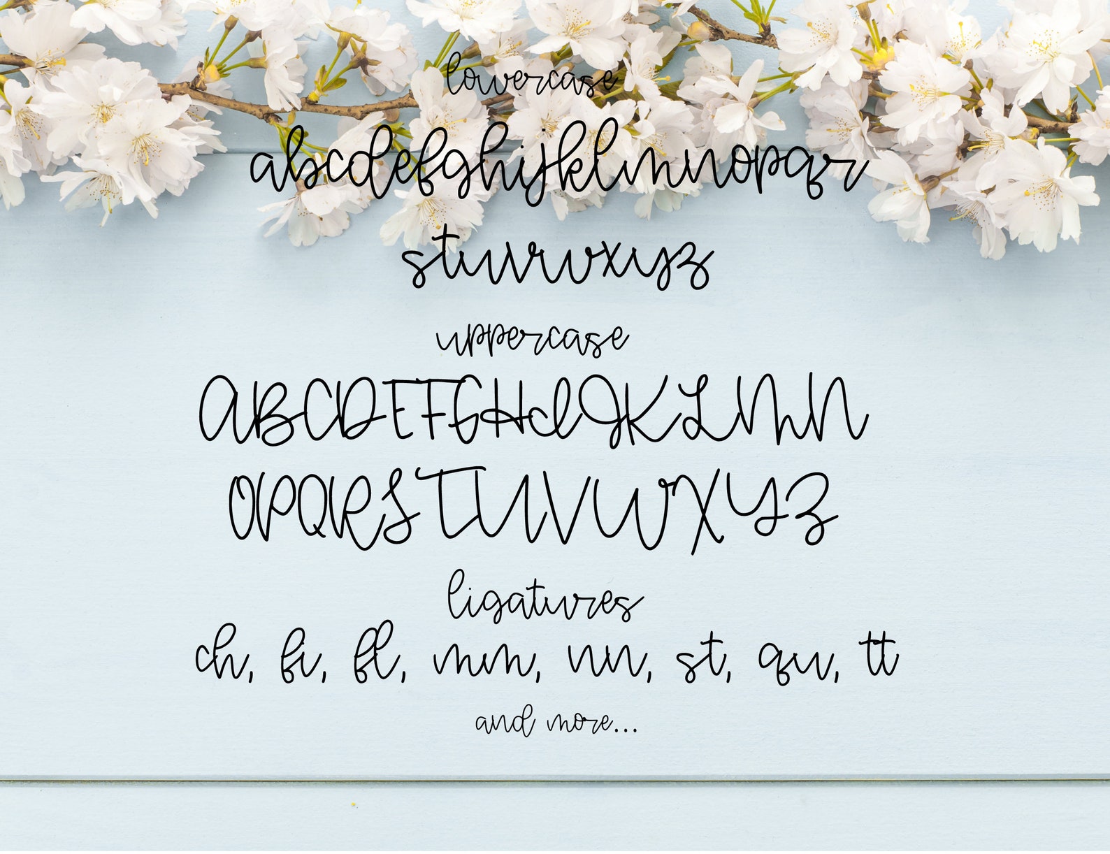 Southern Belle a monoline font OTF font | Etsy