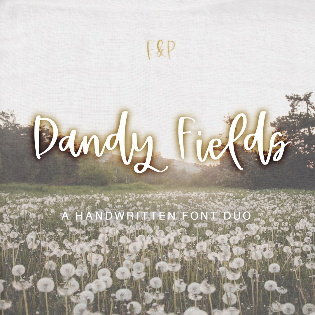 Dandy Fields, a Handwritten Modern Calligraphy Font - Etsy