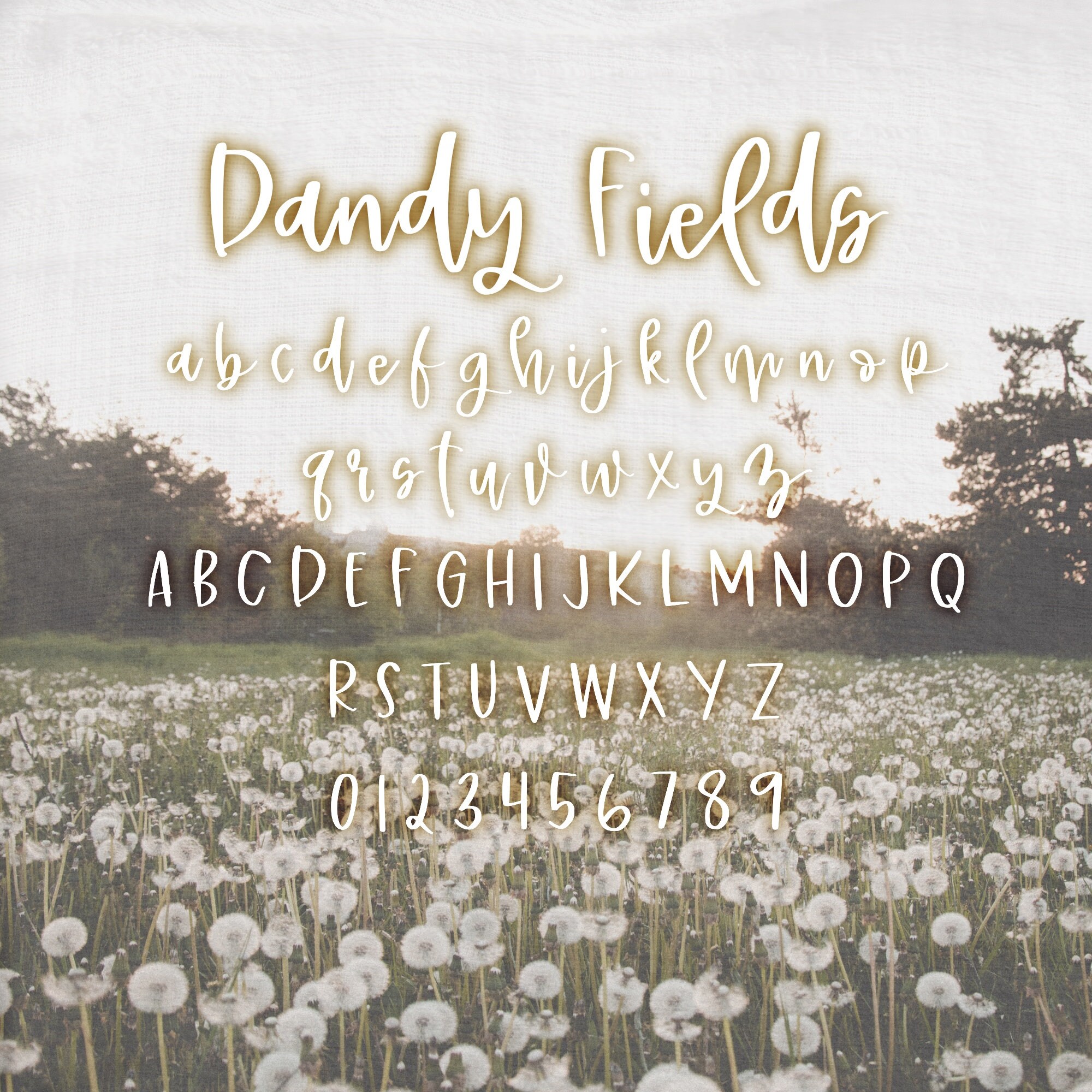 Dandy Fields, a Handwritten Modern Calligraphy Font - Etsy