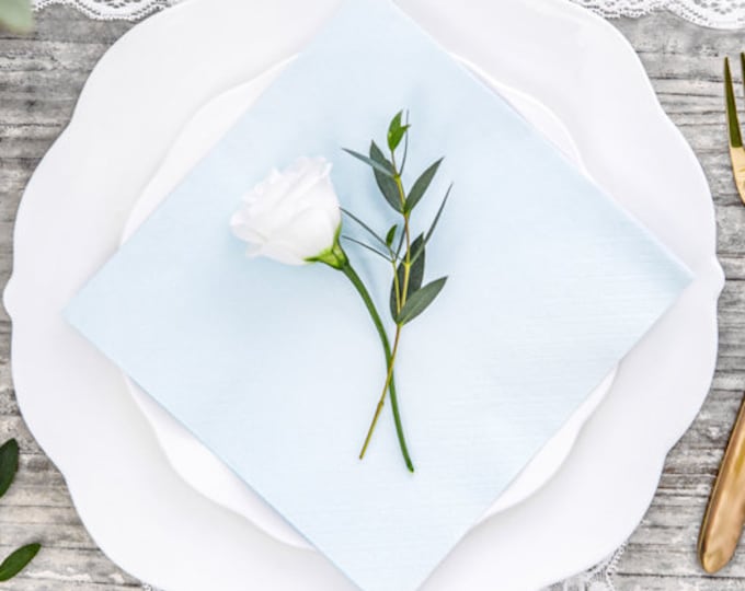 High Quality Blue Napkins, Light Blue Paper Napkins, Picnic Napkins ...