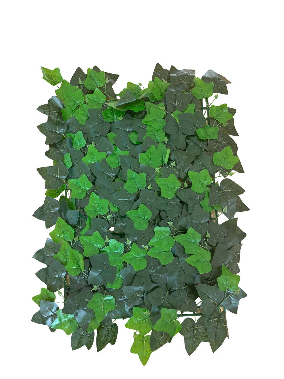 Beautiful Green Artificial Ivy Wall, 60x40cm, Ivy Backdrop, Ivy ...