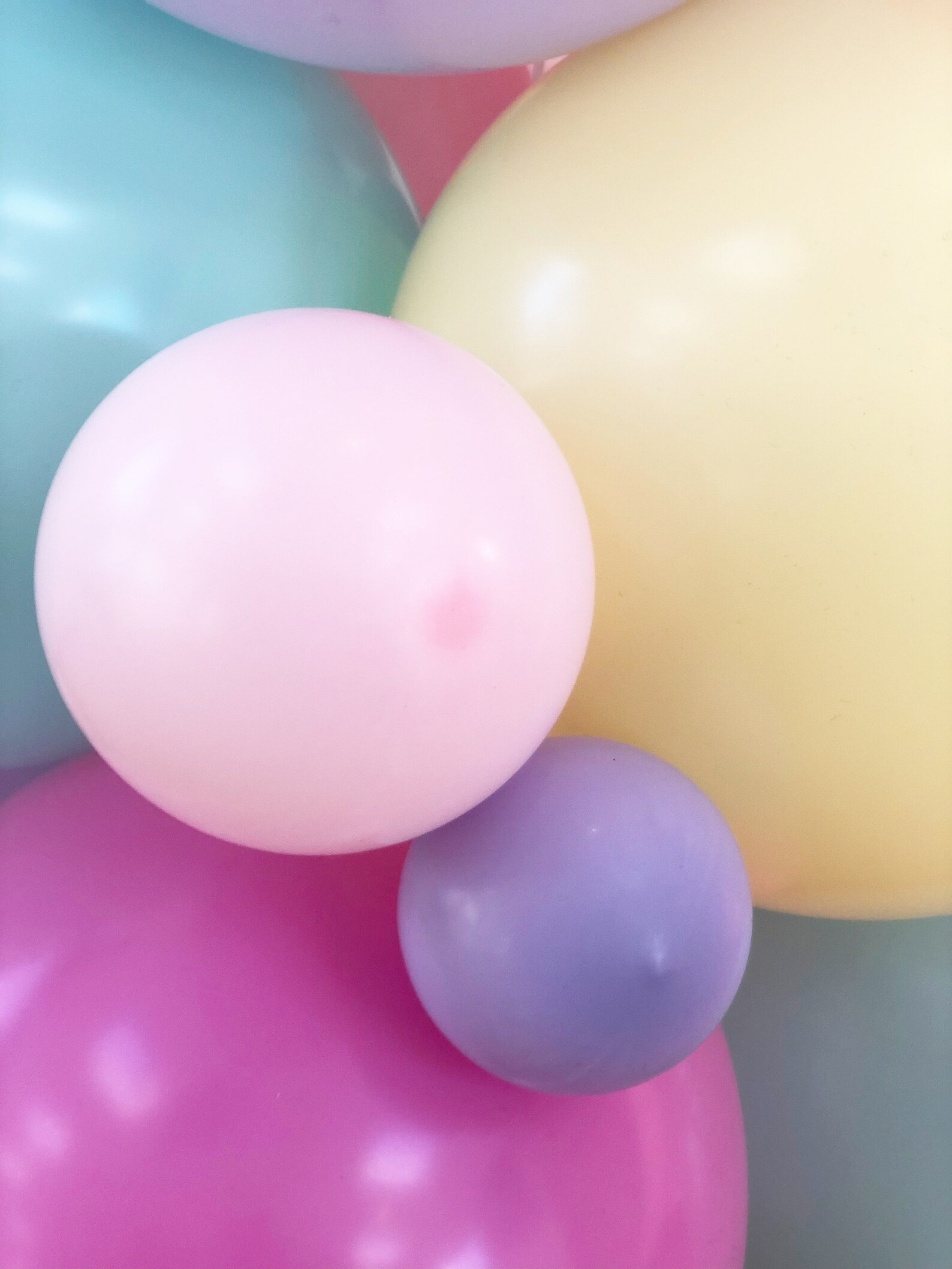 DIY Large 55 Pastel Birthday Balloon Sculpture Pastel - Etsy