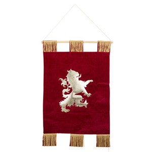 Medieval Knight Coat of Arms, Red Velvet 50x80cm, Knights Shield Props ...