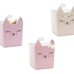 3 Cat Popcorn Boxes, Pink Popcorn Boxes, Pink Snack Boxes Boxes ...