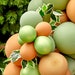 Woodland Balloon Arch, Green Balloon Arch, Woodland Balloon Arch ...