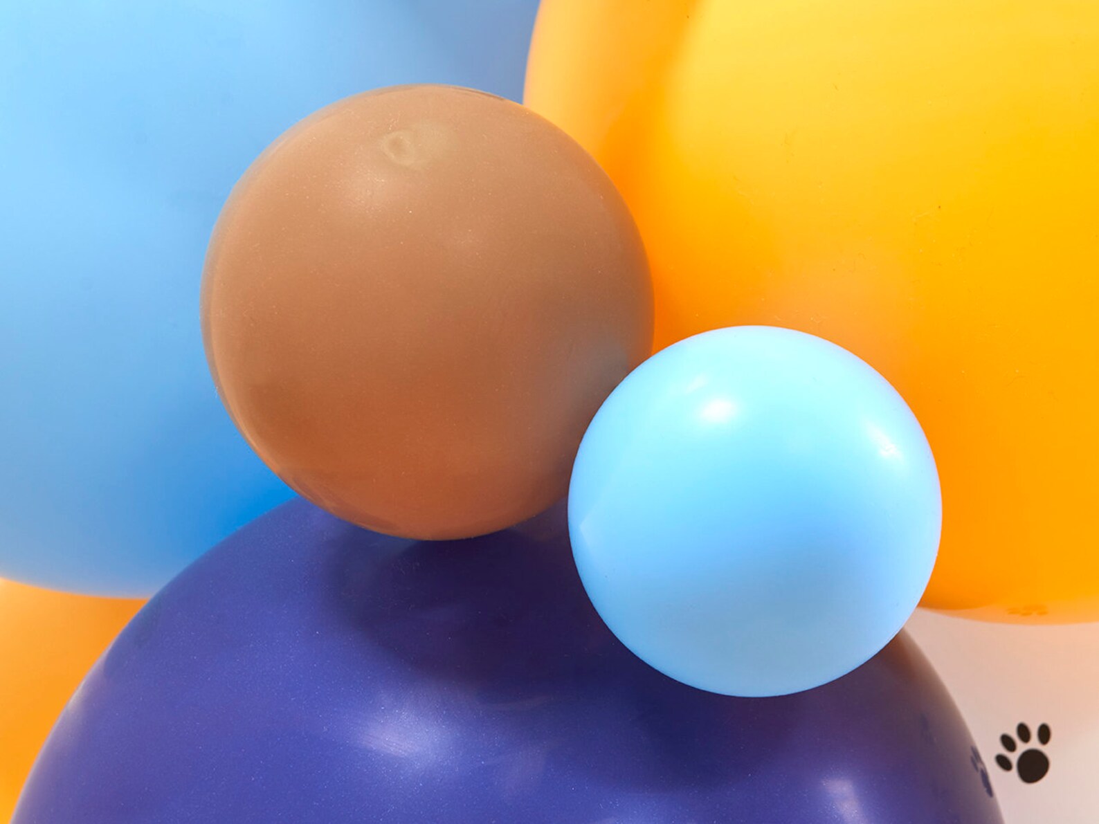DIY Large 55 Blue Dog Paws Kids Birthday Balloon - Etsy