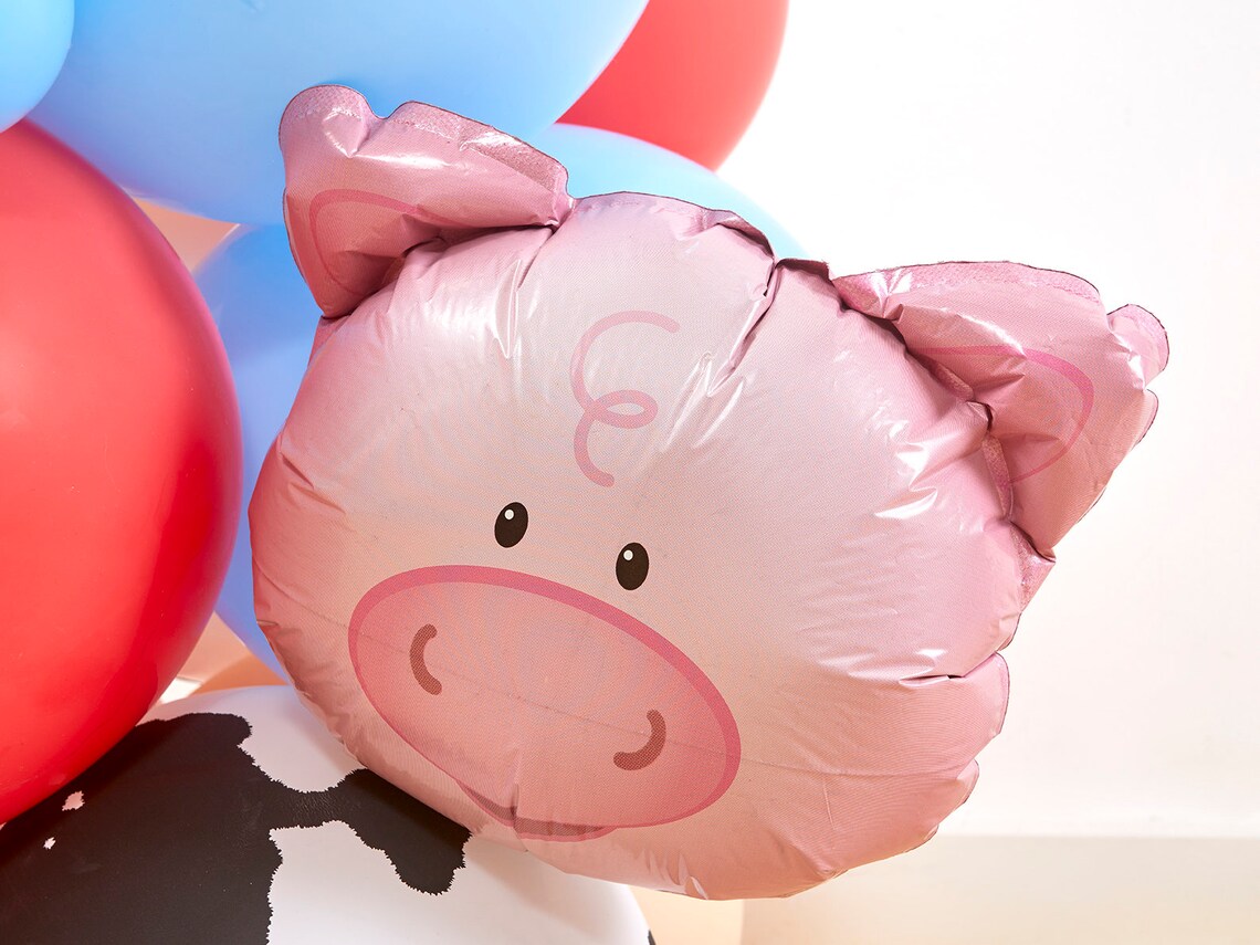 DIY Blue Farm Balloon Sculpture 1.4m/55in Boy's Farm - Etsy