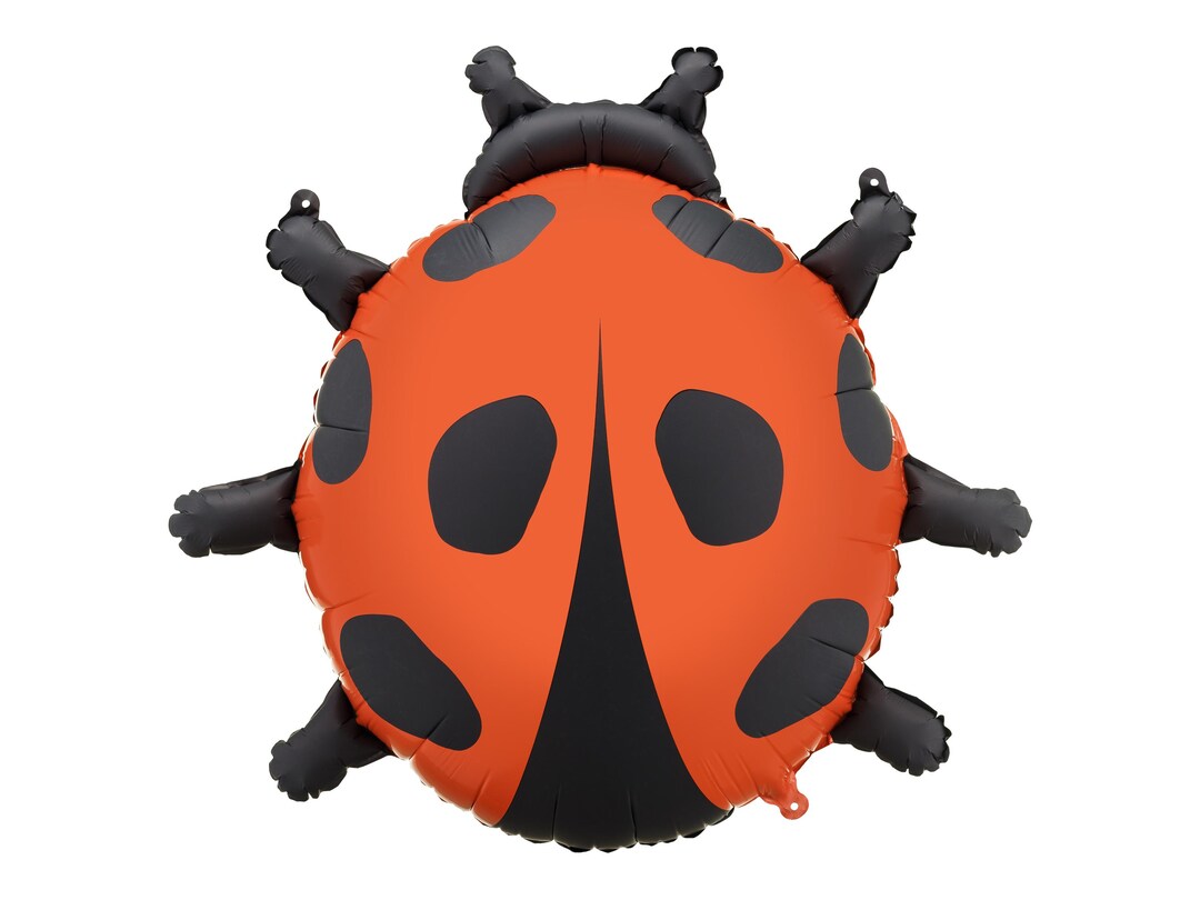 Cute Ladybug Balloon, Ladybug, Foil Balloon, 66 X 64.5cm, High Quality ...