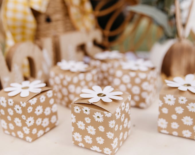 10 Daisy Gift Boxes, Daisy Favour Boxes, Floral Table Decor, Kraft Gift ...