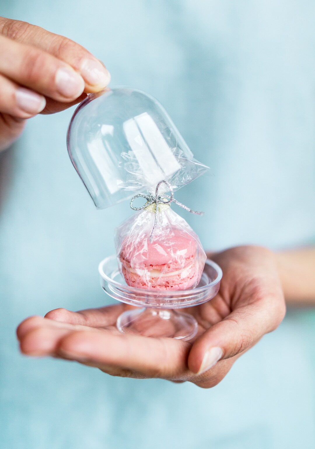 Mini Cake Domes, Miniature Cale Domes, Favour Box, Mini Plastic Domes ...