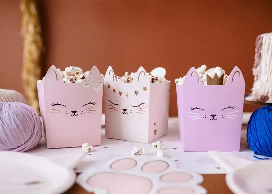 3 Cat Popcorn Boxes, Pink Popcorn Boxes, Pink Snack Boxes Boxes ...