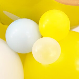 High Quality Boy Duck Balloon Sculpture, Any Number, Duck Balloon Stack ...