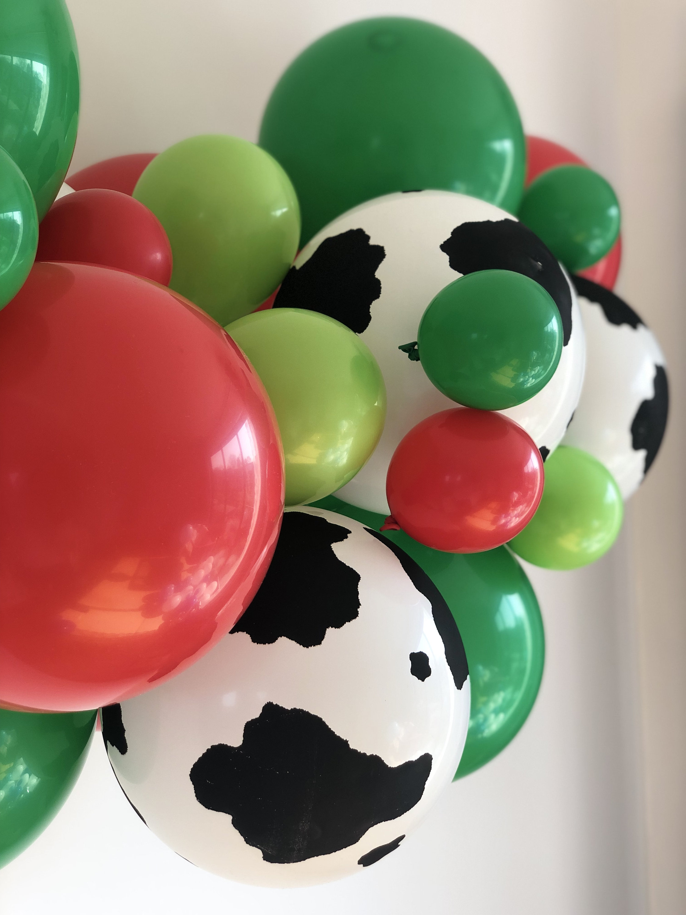 High Quality Balloon Farm Garland Kit, Fram Balloon Arch, Farm Balloon ...