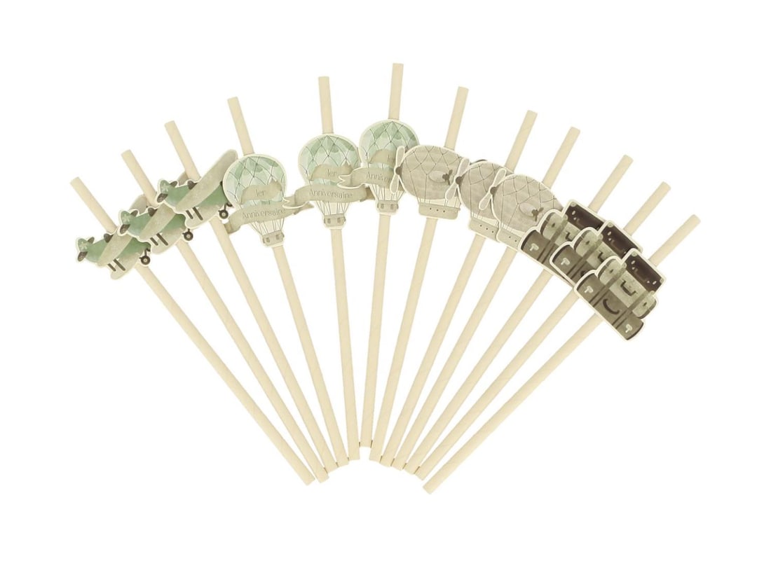 12 Paper Straws Hot Air Balloon Design, 19.5cm, Hot Air Balloon Decor ...
