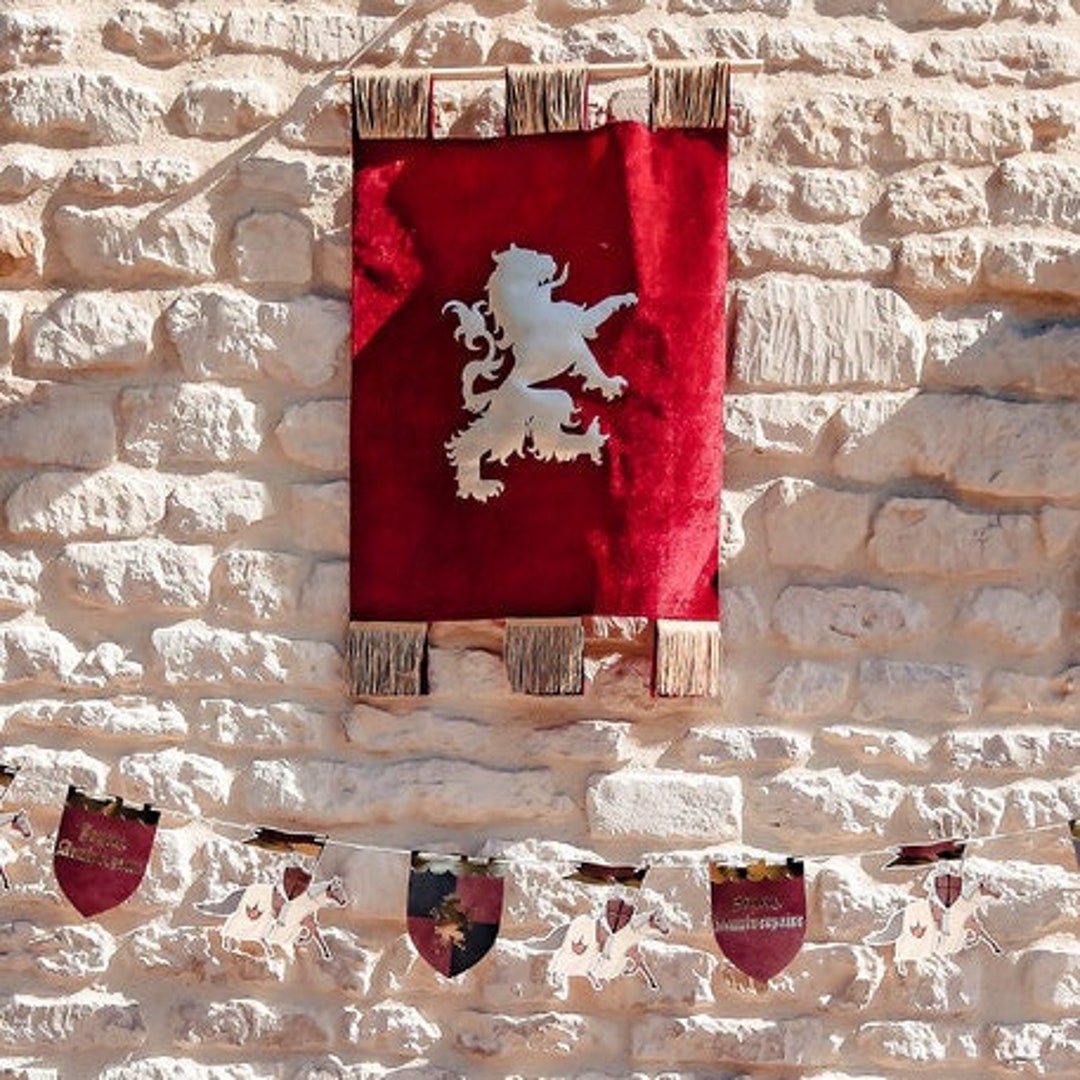 Medieval Knight Coat of Arms, Red Velvet 50x80cm, Knights Shield Props ...