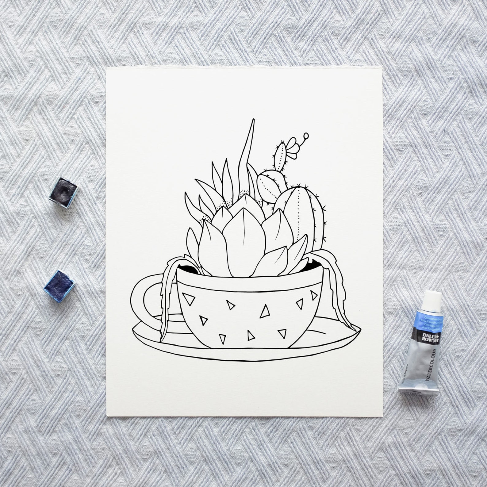 Succulent Coloring Pages , Cactus Coloring Pages , Cacti Coloring Pages ...