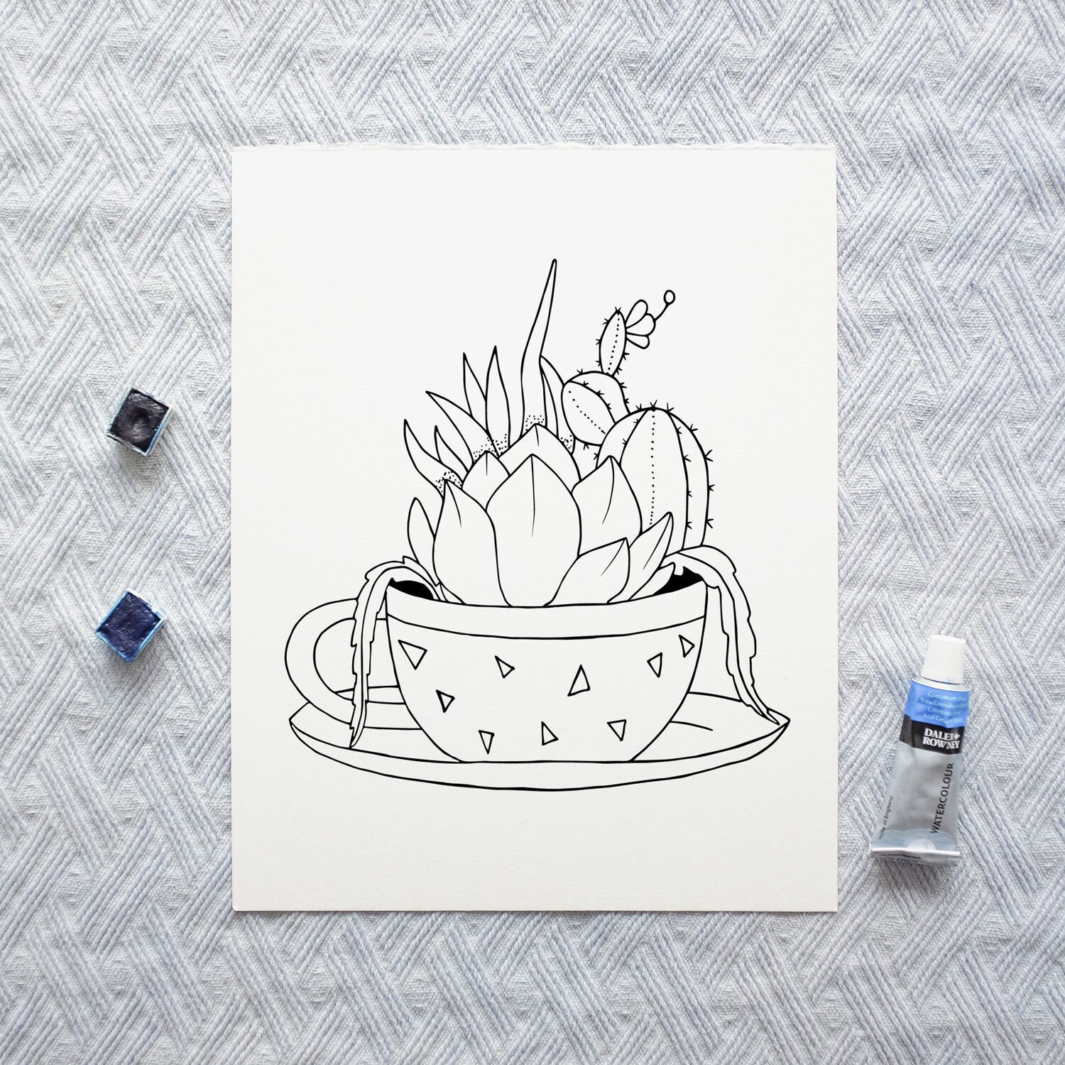 Succulent Coloring Pages , Cactus Coloring Pages , Cacti Coloring Pages ...