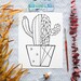 Cactus Coloring Pages, Succulent Coloring Pages, Cacti Coloring Pages ...