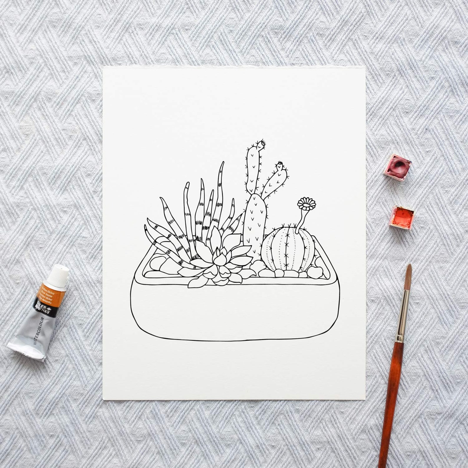 Succulent Coloring Pages , Cactus Coloring Pages , Cacti Coloring Pages ...